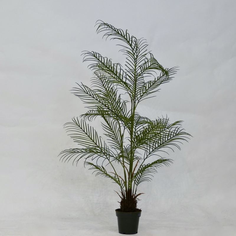 Pianta verde finta Felce